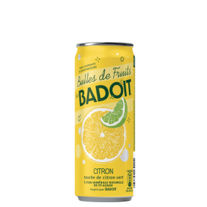 Eau gazeuse Badoit - Livraison, commande & achat en ligne